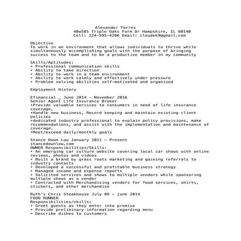 Alex Torres Resume_updated | PDF