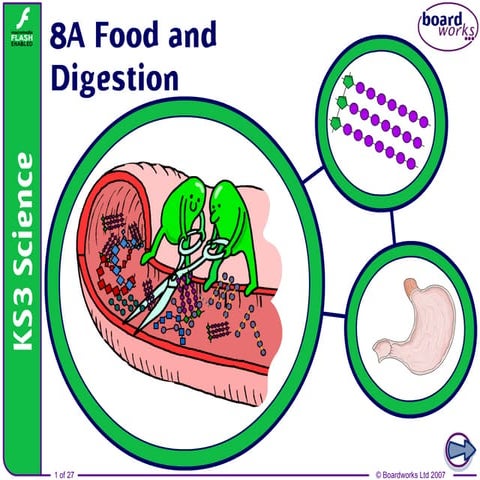 Test for food (biological molecules test).ppt