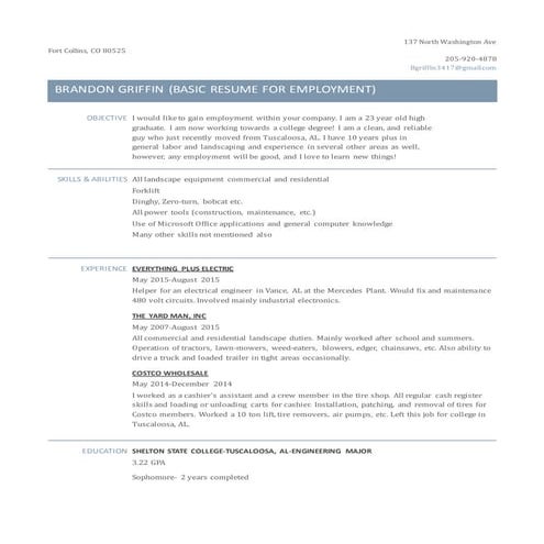 RESUME OF ALAN JAMES SEAMAN | DOCX