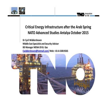 Critical Energy Infrastructure after the Arab Springm [Read-Only] | PDF