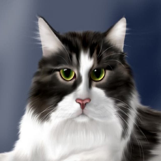 grey_white_cat | PDF