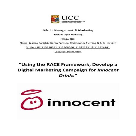 Digital Marketing Campaign For Innocent Drinks | DOCX