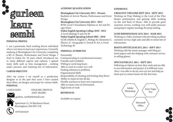 MARLENE BINDER PROFESSIONAL CV | PDF