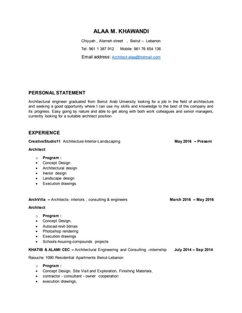 Curriculum Vitae English | PDF