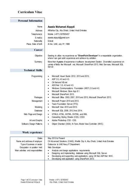 ADEL CV | PDF