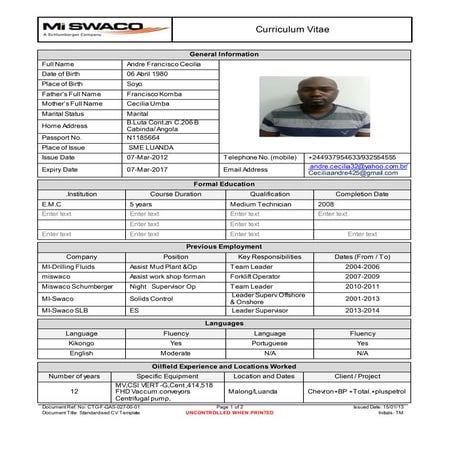 FAITHFUL DA SILVA- CV | DOCX