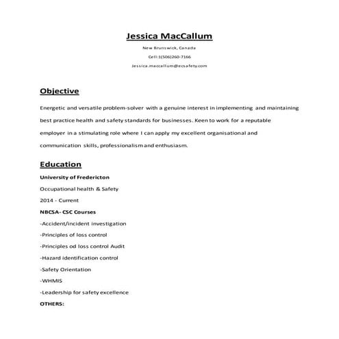 safety resume | PDF