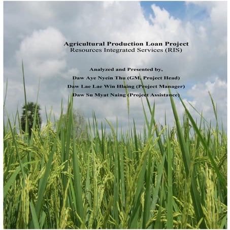 Agricultural Production Loan Project Proposal | PDF