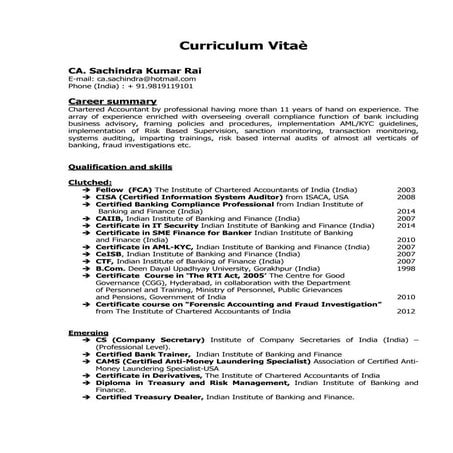 P. Swanson Resume | PDF