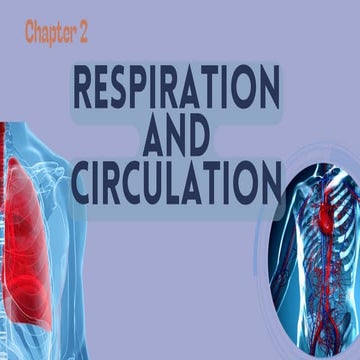 8A_Chapter 2_Respiration and Circulation.pdf