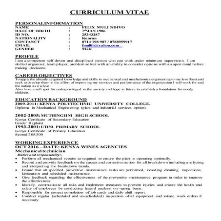 felix cv-2 | DOCX