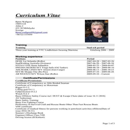 CV eng. | PDF