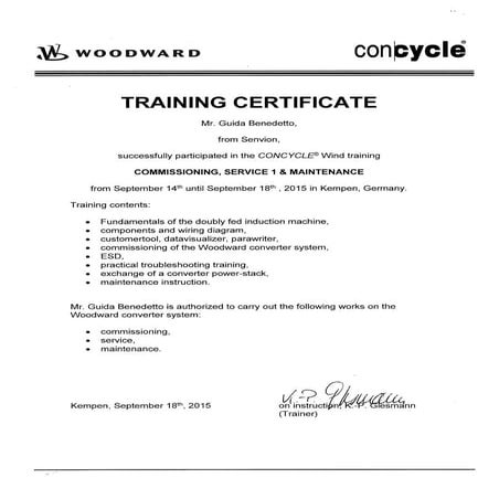 certificate Hailo. | PDF