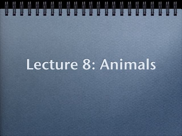 Vertebrates Powerpoint | PPTX