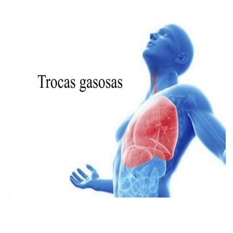 8º ano trocas gasosas.pptx