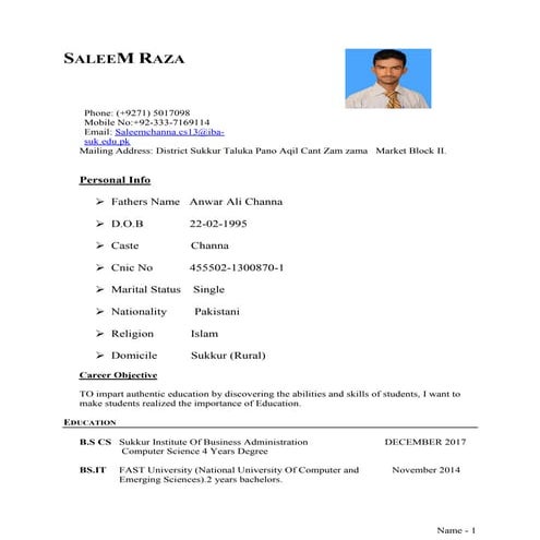 Saleem.C.v | PDF
