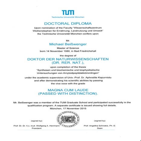 Doctoral Diploma | PDF