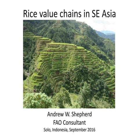 Rice Value Chain Analysis: Rice Seed Production as a Profitable ...