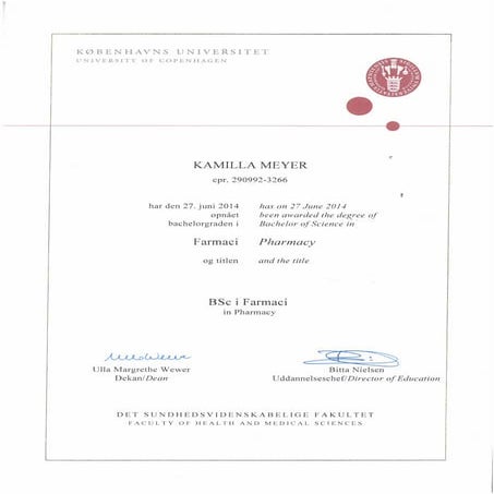 Bachelor bevis | PDF