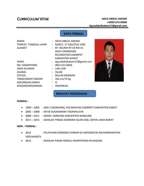 Curriculum vitae andi | PDF