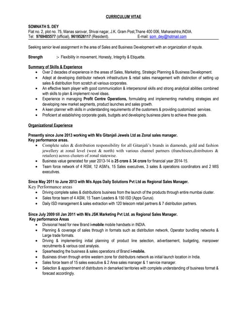 CV Raghu_Oct 2016 | DOC | Sales | Business