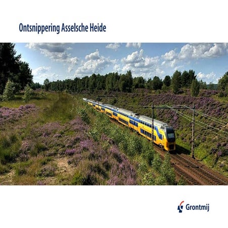 Ontsnippering Asselsche Heide Ontwerprapportage Grontmij | PDF