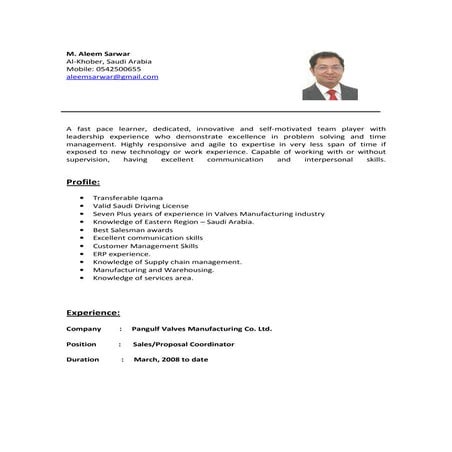 Aleem CV - Sales & Proposal coordinator | PDF