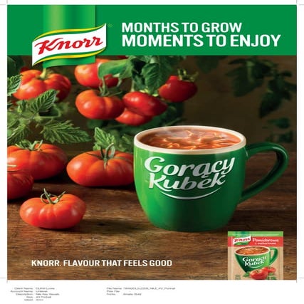 Knorr Key visual | PDF