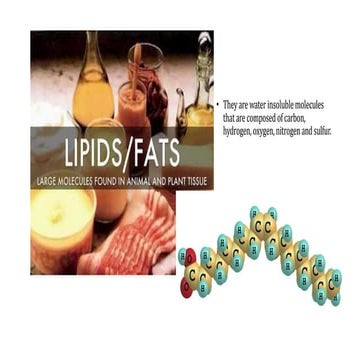 Lipids and Fats | PPT
