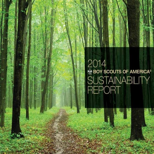 Boy Scouts Introduction | PPT