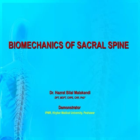 BIOMECHANICS OF SACRAL SPINE in Humans .ppt