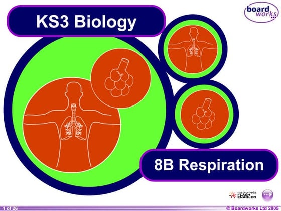 Grade 8 - Respiratory System | PPT