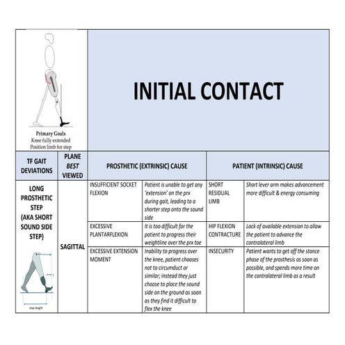 8c. Gait Deviation chart. Prosthetics and orthotics | PDF