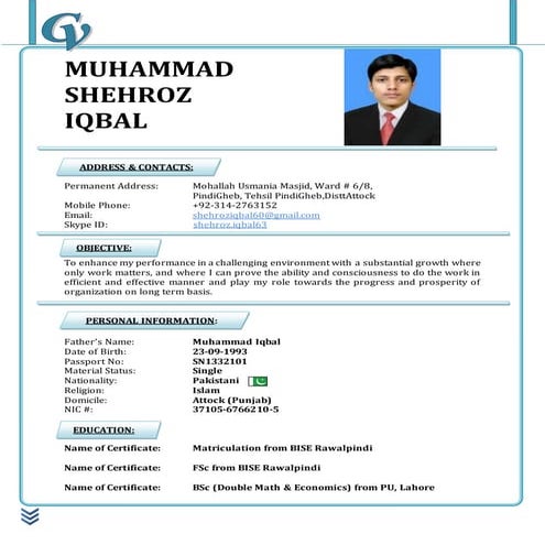 CV | DOCX | Islam | Religion & Spirituality