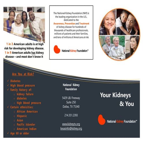 Brochure-Your Kidneys and You-1 | DOCX | Diseases and Conditions ...