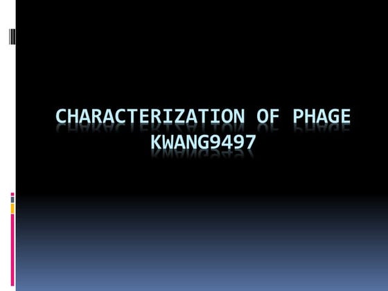 Protocol for Phage isolation - flowchart | PPT