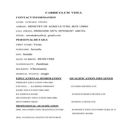 CARRICULUM VITEA | DOCX