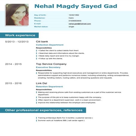 CV_nehal-magdy | PDF