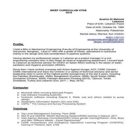 Ibrahim El Mahmid_CV_2015 | PDF