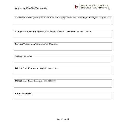 Attorney_Profile_Template | DOC