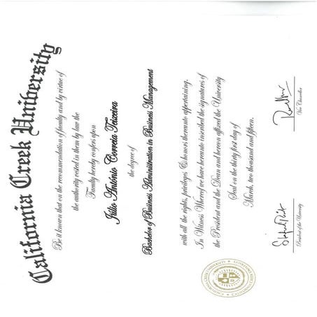 Business Administration degree 1 | PDF