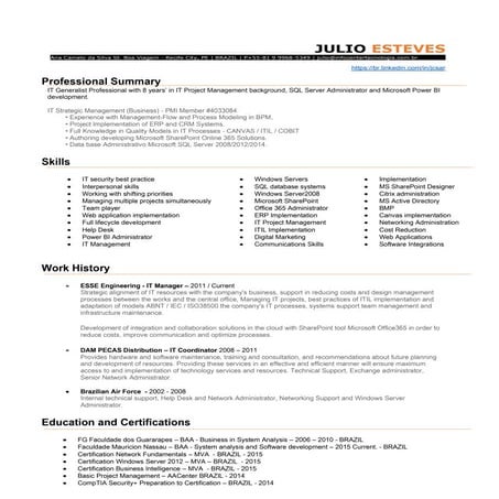 Resume - Julio | PDF