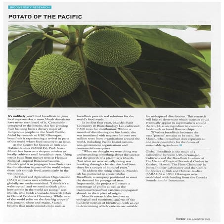 UBC Frontier_Potato of the Pacific | PDF