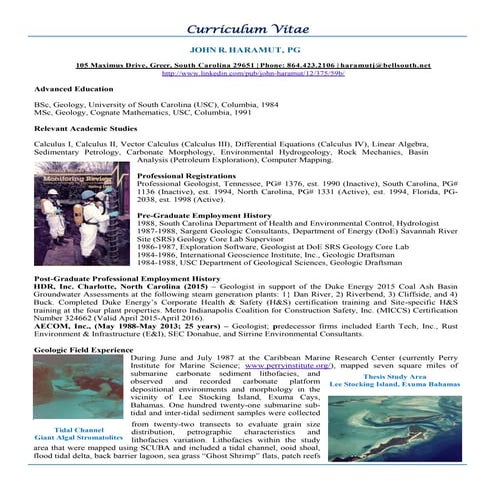 Haramut 2015 CV Summary (Rev00) | PDF