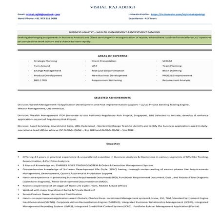 CV VISHAL_Business Analyst_4.3 | PDF