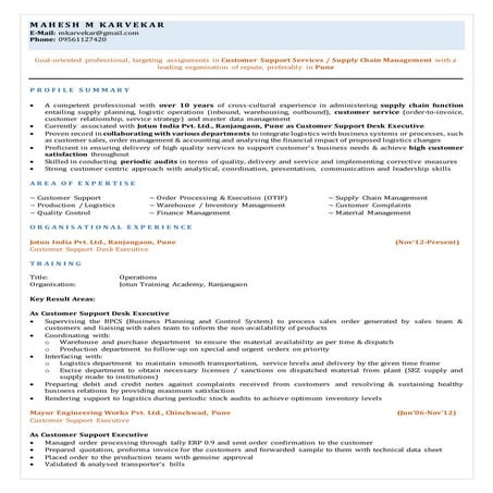 CV Callum Diligent | PDF