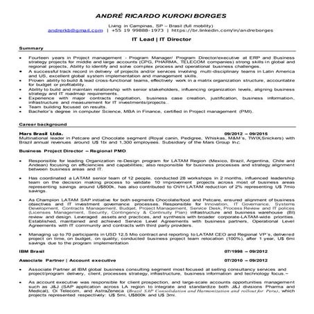 CV ANDRE_BORGES_IT_Lead | DOCX