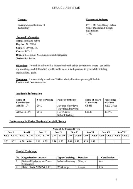 Mohit Resume | PDF