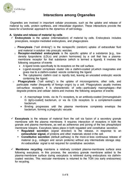 Golgi Apparatus Ppt Introduction Structure And Function Pptx 9434