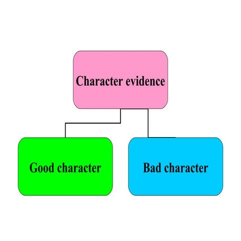 (8) character evidence | PPT